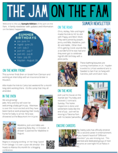 10 Top Family Newsletter Examples Today - ConvertNow Resources